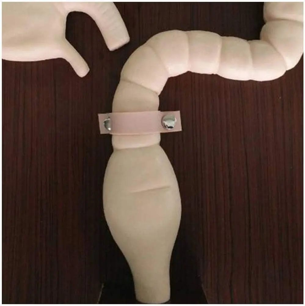 Kyrenmed Colonoscopy Simulator - Advanced Training Model