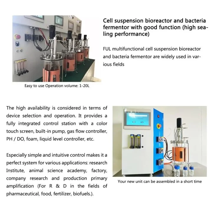 Laboratory Reaction Micro-bioreactor 15l Bacterial Fermentation Glass Reactor,Small Beer ...