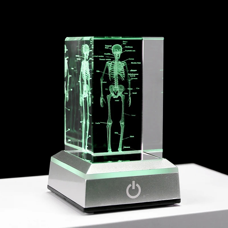 3D Laser Engraved Human Anatomical Skeleton Cube Model K9 Crystal Craft ...