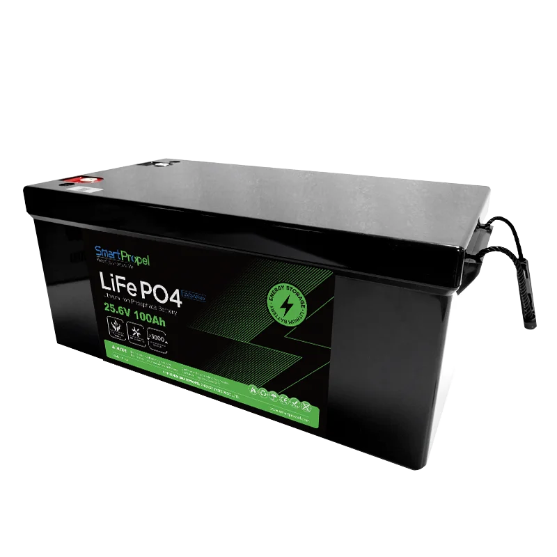 12v 24 Volt 100ah Lithium Ion Battery Pack 24v 100ah 200ah 250ah 300ah ...