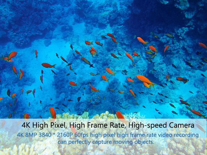 4K 8MP High Speed Underwater Camera Super Fill Light for Fish ...