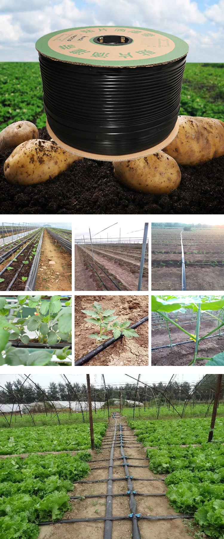 1 Hectare Automatic Drip Irrigation System - Flat Emitter