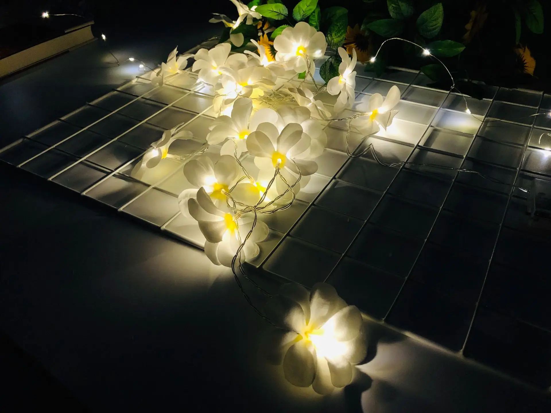 Frangipani Flower Led Led String Light With Flower Other Wedding ...