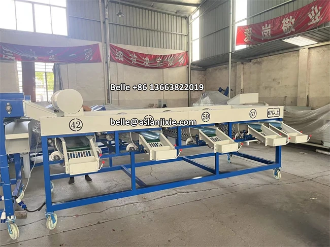 Stainless Steel Tomato Garlic Round Onion Sorting Machine Potato Onion ...