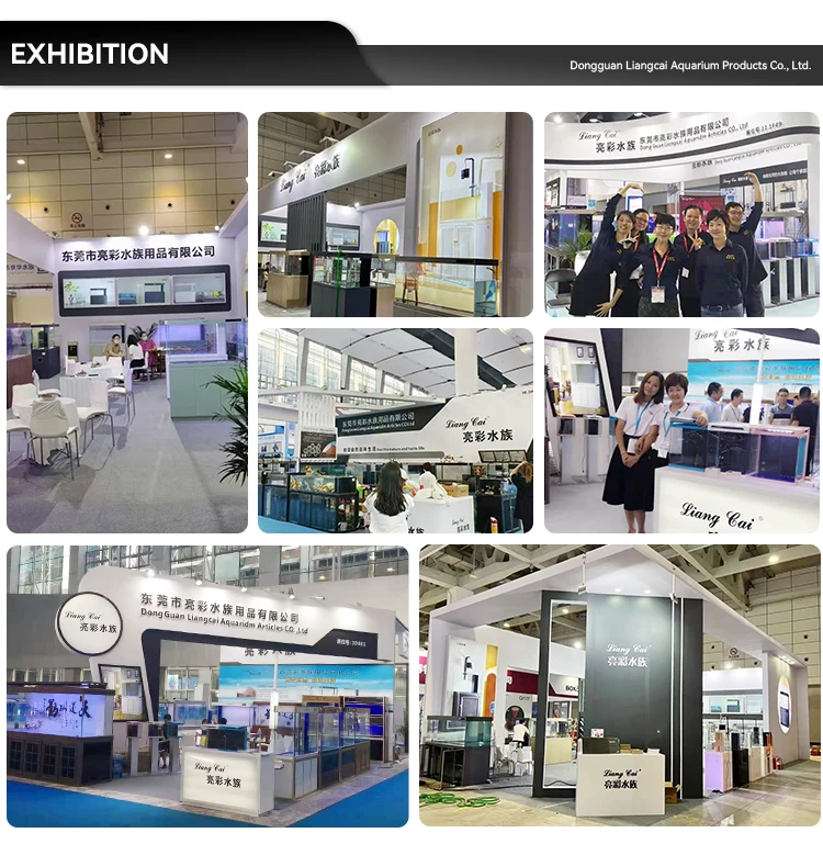 Customizable Ultra Clear Glass Aquarium Tank with Built-in Filter Pump ...