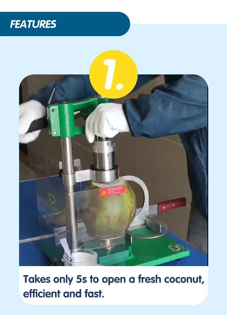 Stainless Steel Coconut Opening Cutting Machine - 1 Year Warranty