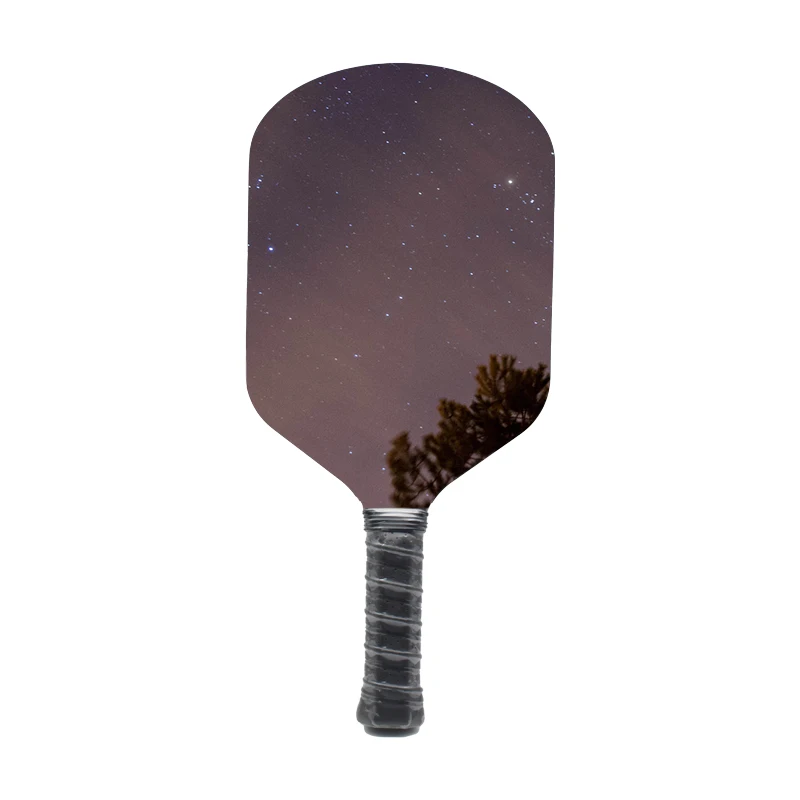 Good Selling 3d Printing Glass Fibre Pickleball Paddles Minimalism ...
