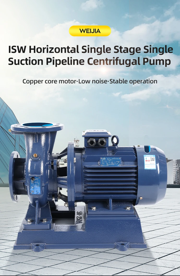 ISW Water Pump Agricultural Irrigation Cast Iron HT200 Horizontal ...