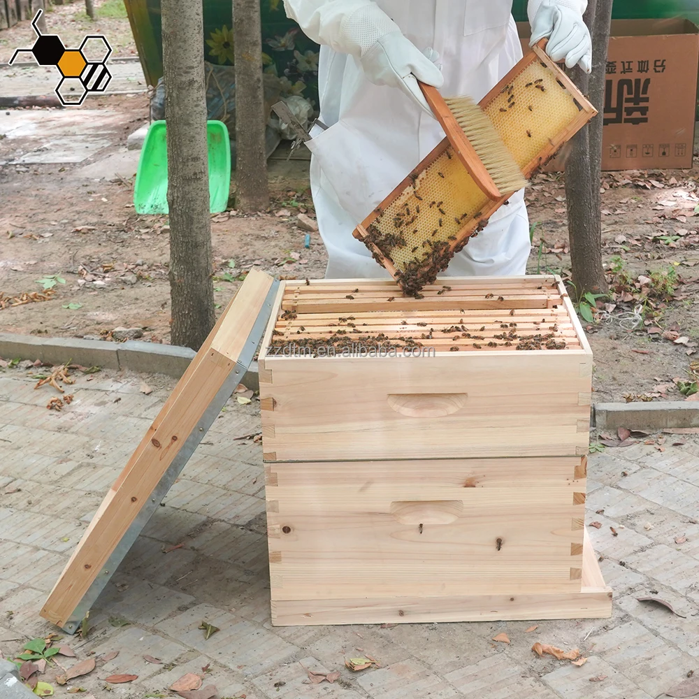 Wholesale New Unassembled Flat Pack Langstroth Beehive Boxes with 20 ...
