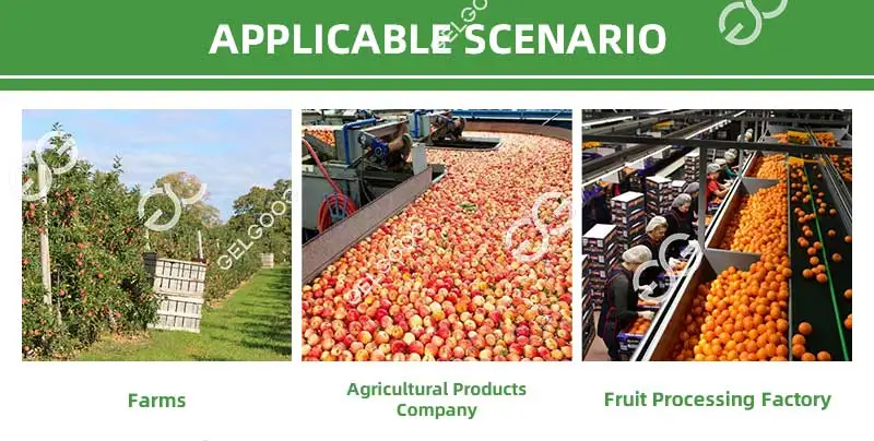 Small Automatic Apple Grading and Sorting Machine Price