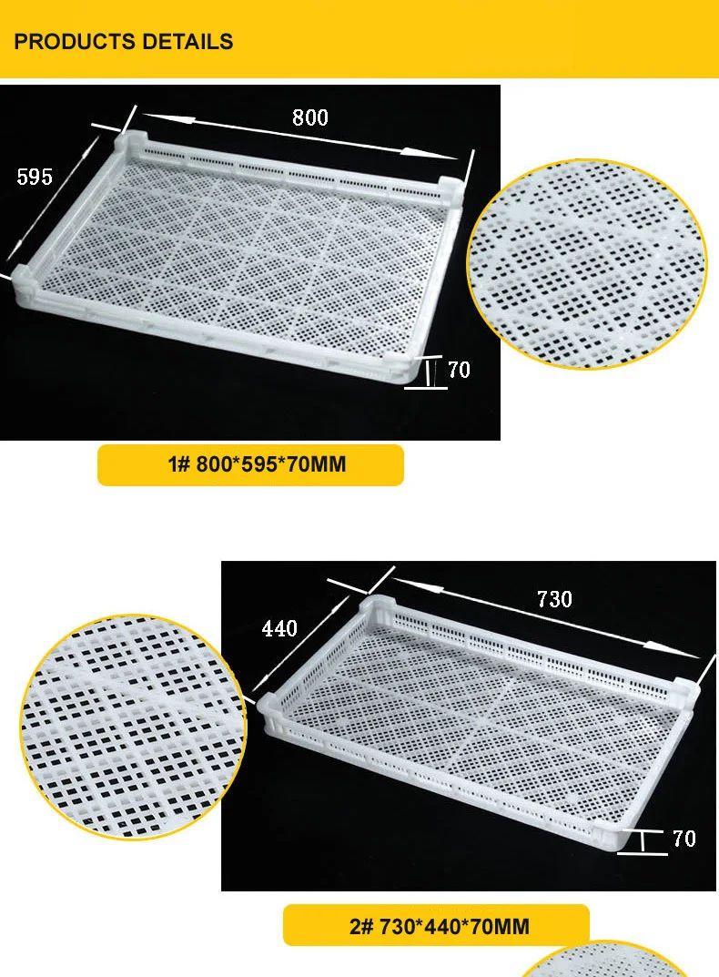 White Mesh Frezing Tray Food Grade Drying Plastic Tray For Seafood ...