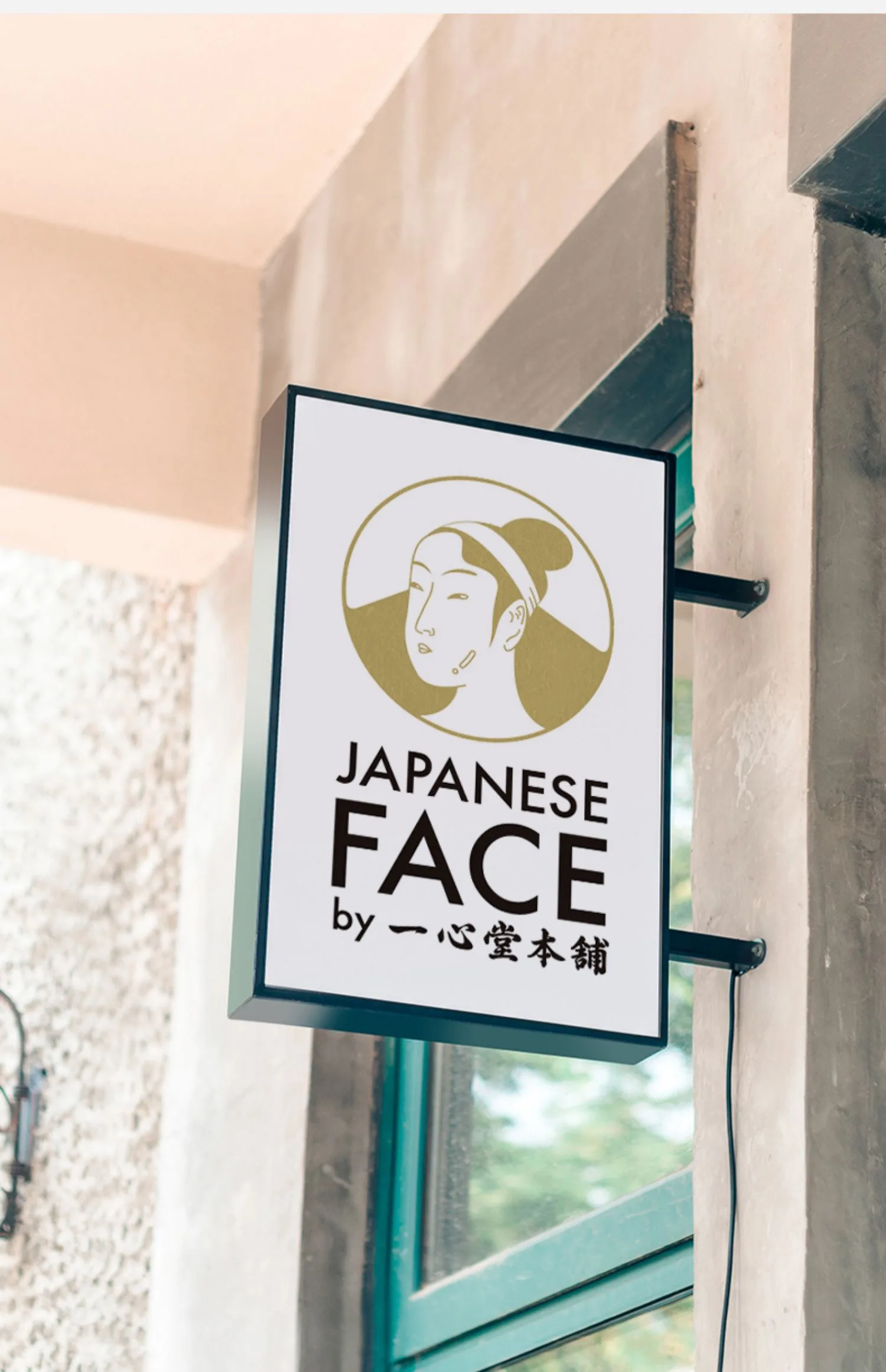 Customized LED Light Boxes for Indoor and Outdoor Advertising