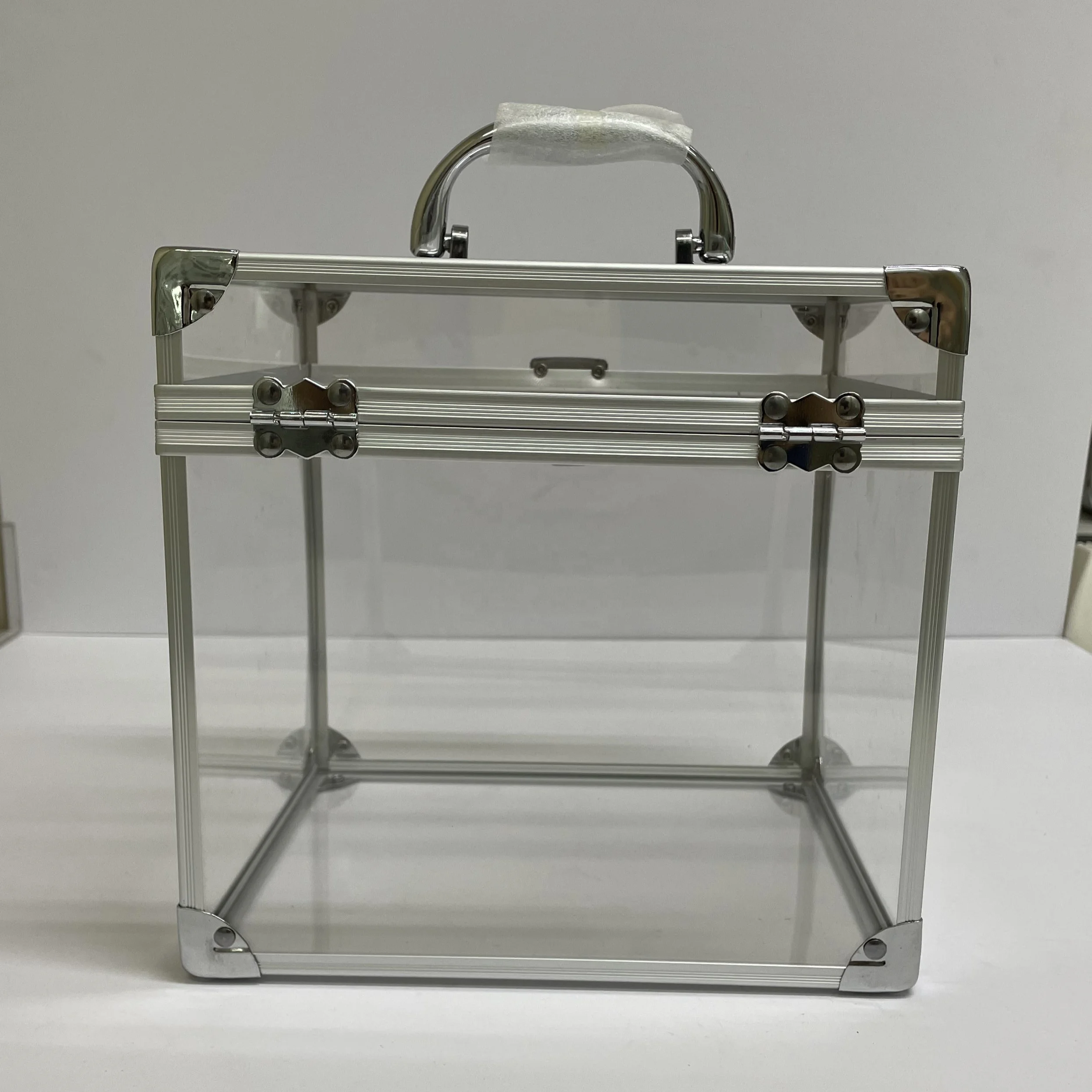 Clear Train Case - Organize Your Crown, Cosmetics, and Tools