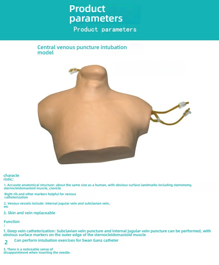 Central Venous Catheterization Training Model - PVC Material