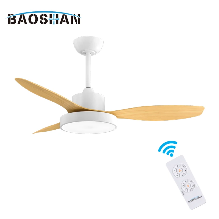 BLDC Motor Indoor Living Room Modern Ceiling Fan 3 ABS Blades Led ...