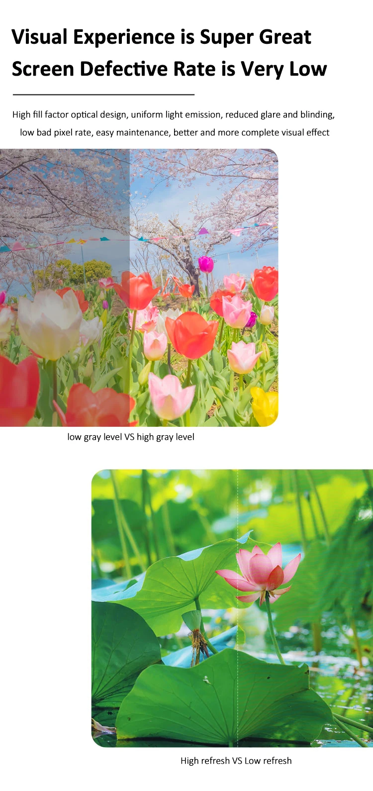 SHENGLONG LED Display Screens - High Definition & Customizable