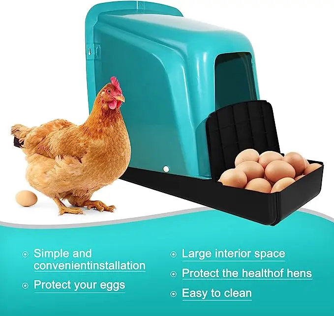 Cheap Price Sale Chicken Layer Nest Boxes - Plastic Coop