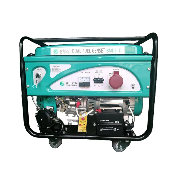 10KW Portable Generator - Dual Fuel Natural Gas & Biogas