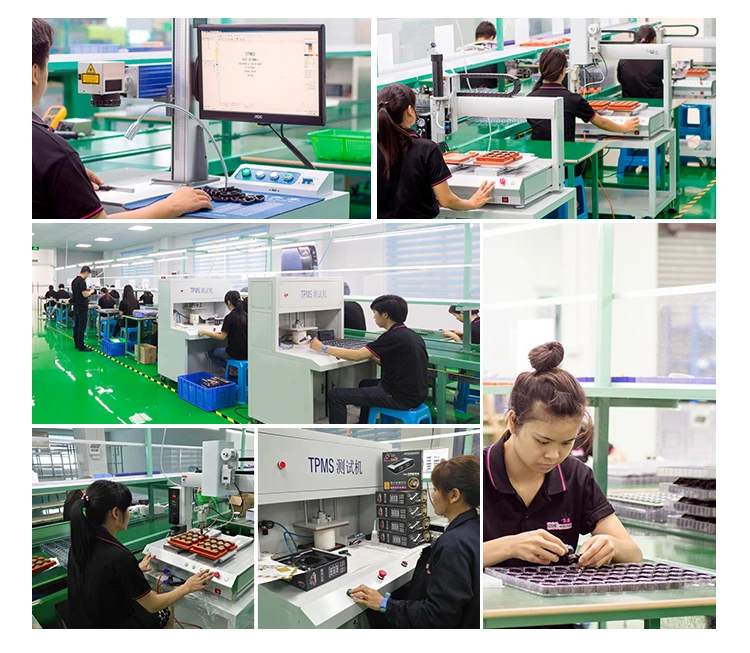 Black Multicore Electric Wire Cable Low Copper PVC Insulated Bvv Blvv ...