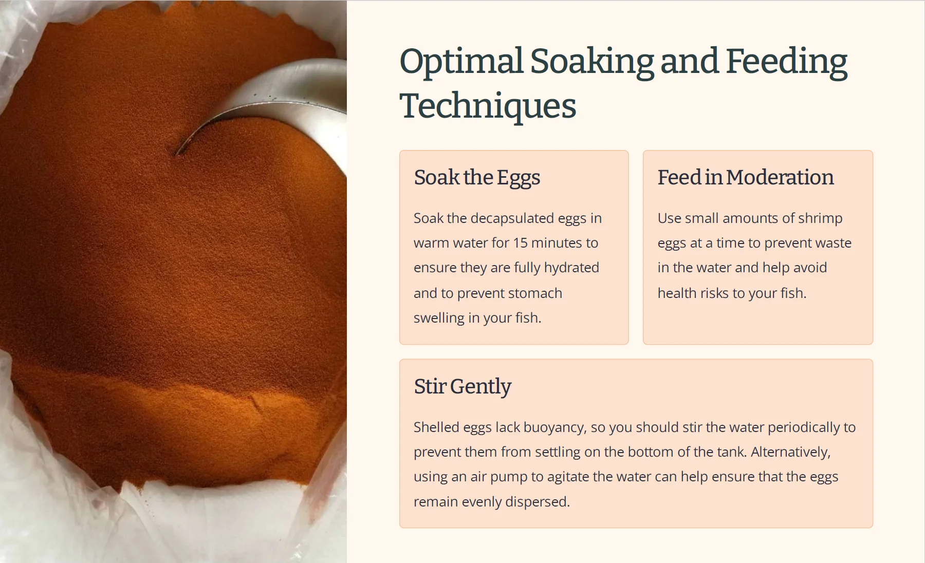Artemia Cysts - Decapsulated Brine Shrimp Egg for Fish Meal