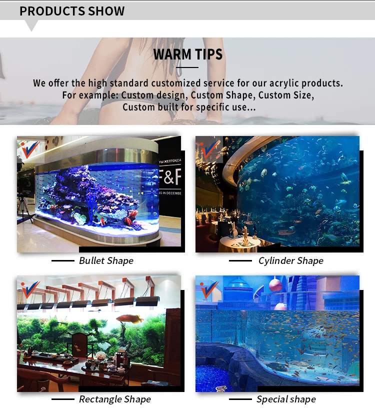 Large Curved Transparent Acrylic Aquarium Canada 40mm