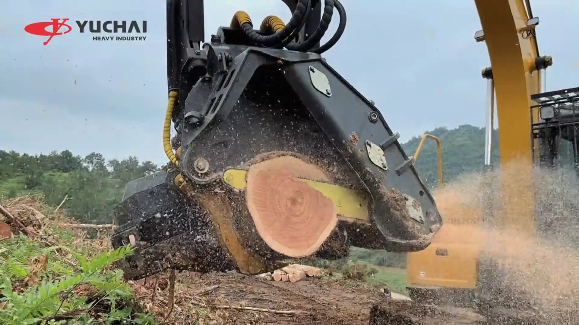 Forestry Machine Timber Harvesting Tree Logging Equipment Harvest ...