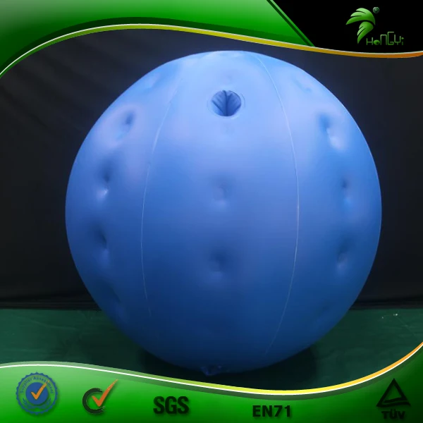 Inflatable Blueberry Suit - Custom Rolling Body Cloth