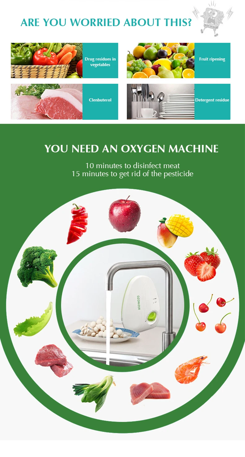 Qlozone High Quality Home Use Ozone Generator Cleaning Fruits and ...