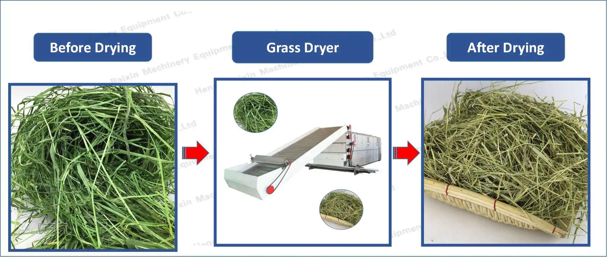 High Efficiency Seaweed Dryer - Baixin Mesh Belt Drying Machine