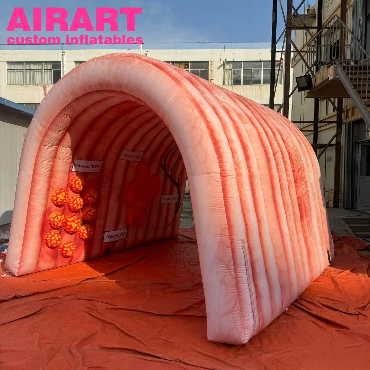 Large Intestine Inflatable Model For Medical,Mega Colon Inflatables ...