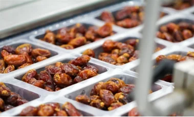 Date Palm Paste Vacume Thermoforming Packaging Machine Saudi Dates ...