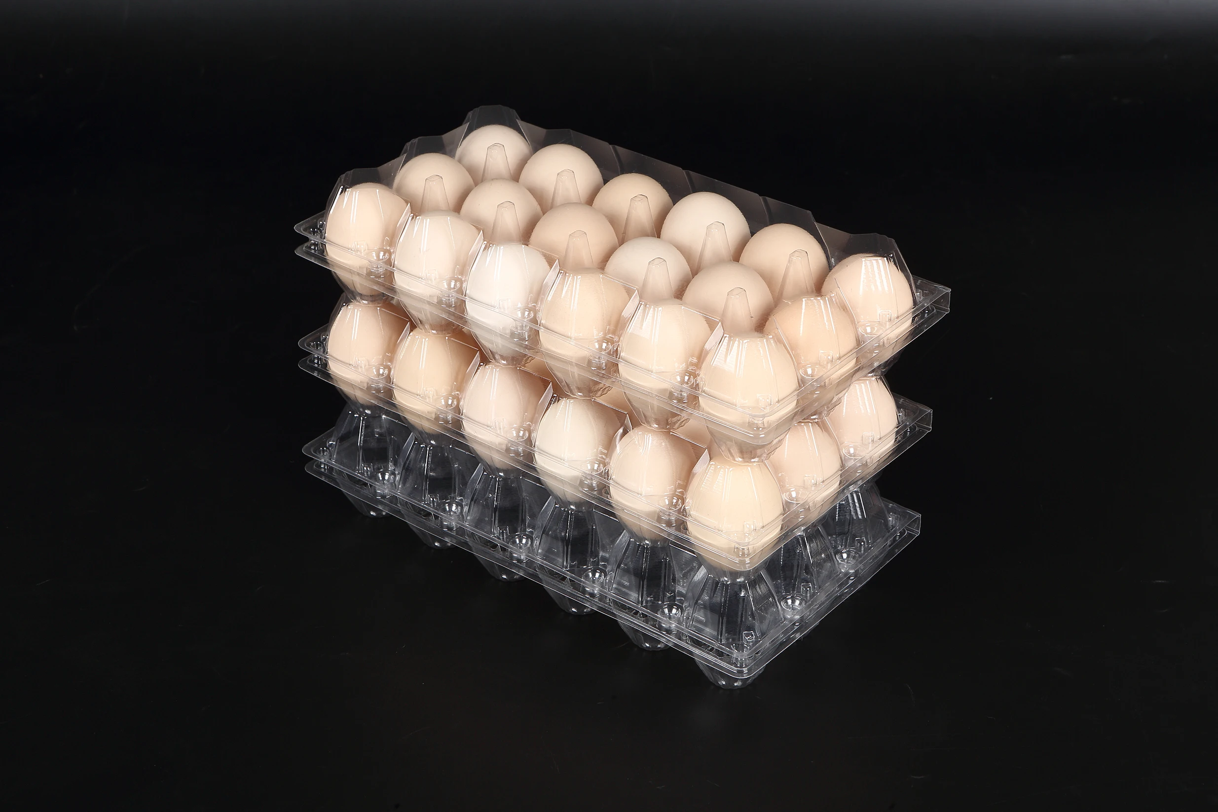 Transparent PET Egg Carton with Handle for Eggs Storage - OEM/ODM