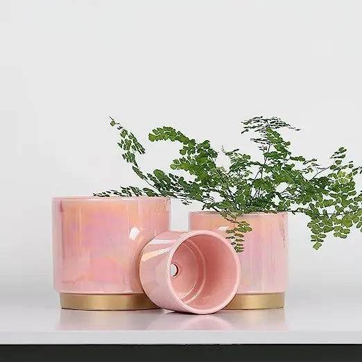 Pink Indoor Plant Pots Ceramic Planter with Drainage Hole Succulent ...