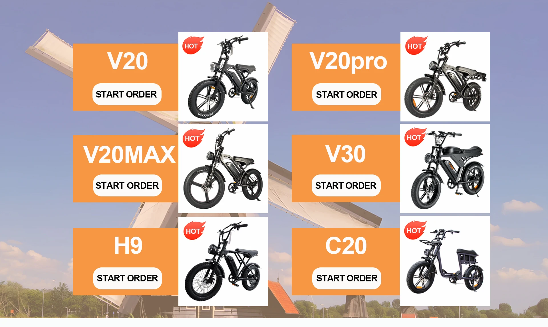 Company Overview - SMART RIDE TECHNOLOGY LIMITED