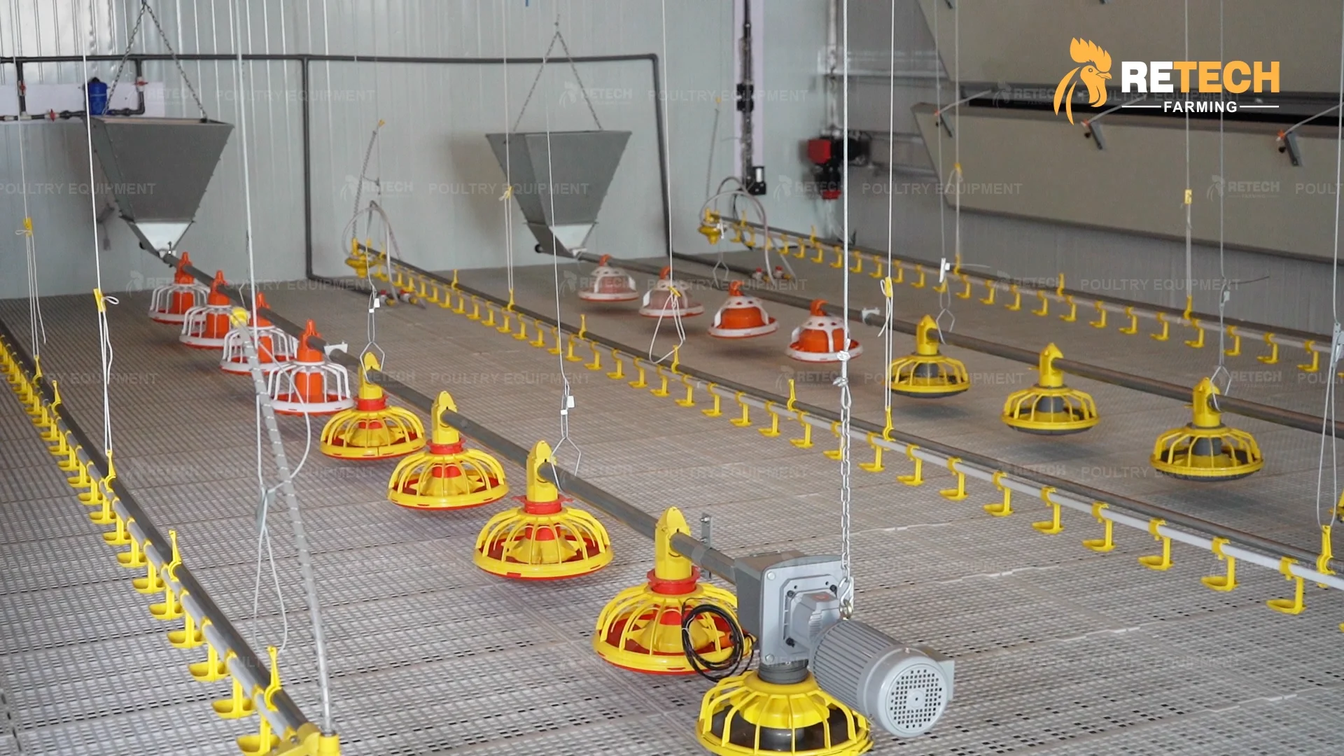 Fully Automatic Feeding Line System Pan Feeder Nipple Drinker Poultry ...