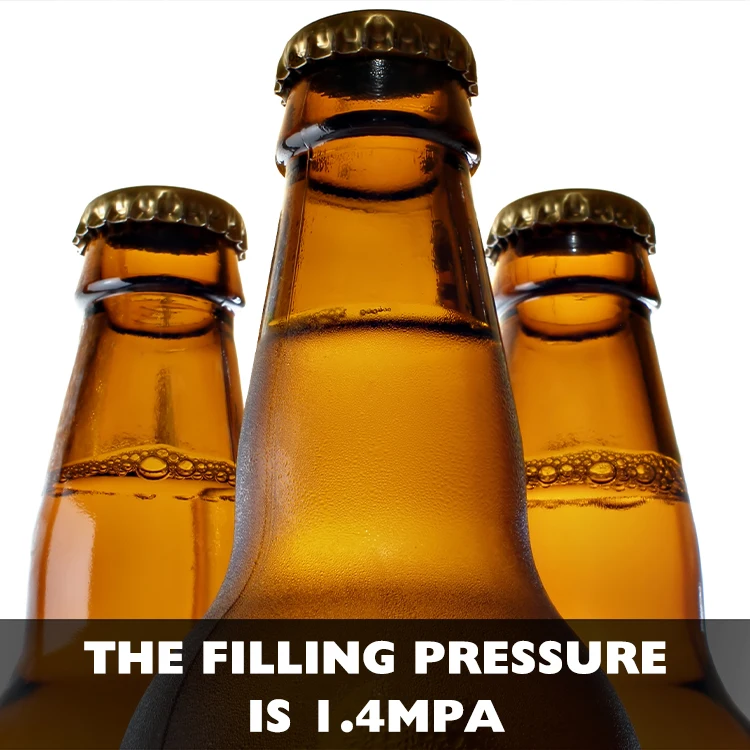 Custom Beer Bottle Packaging - Durable & Stylish Solutions