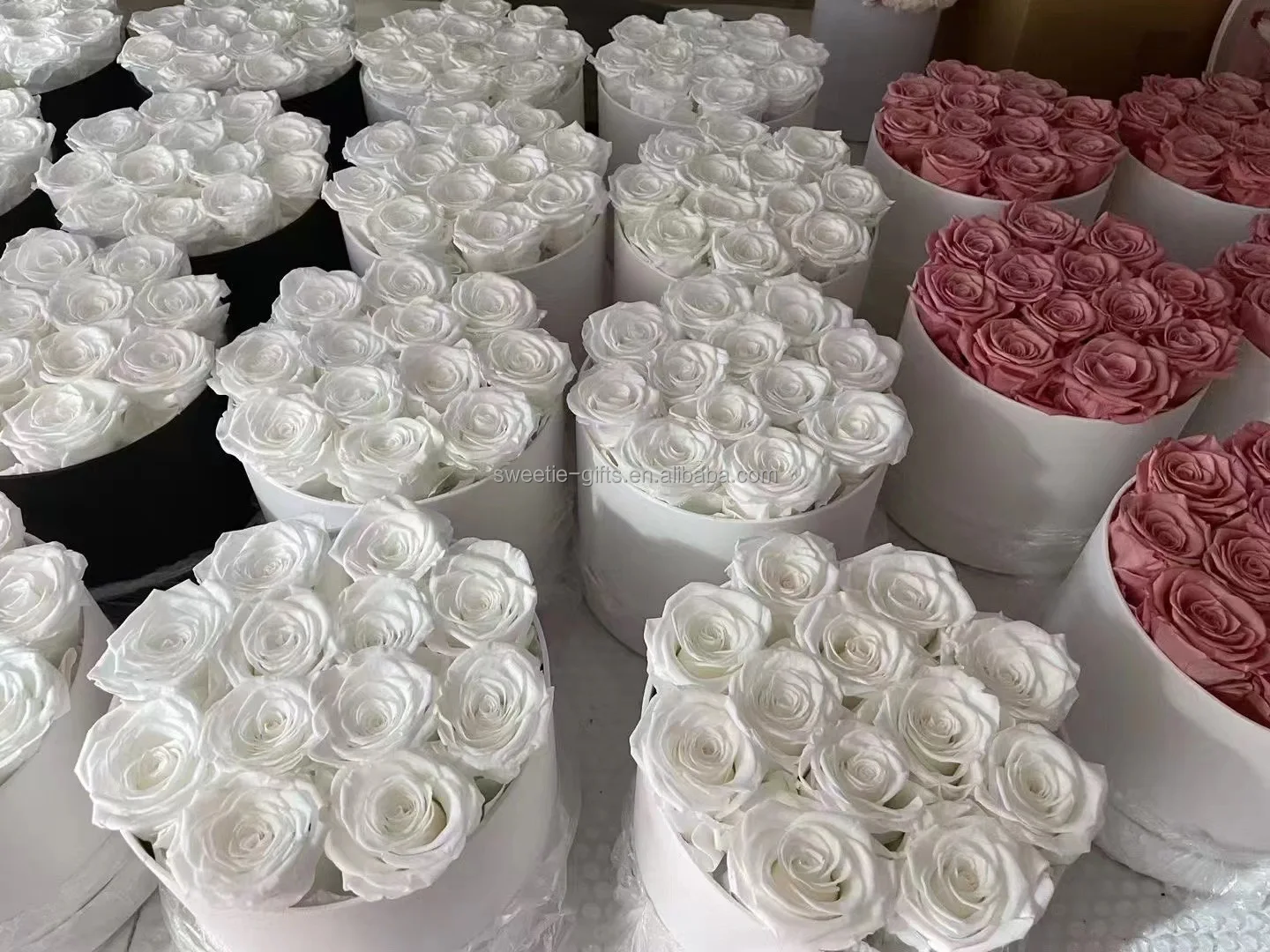 Customized Logo Natural Everlasting Immortal Eternal Forever Infinity ...