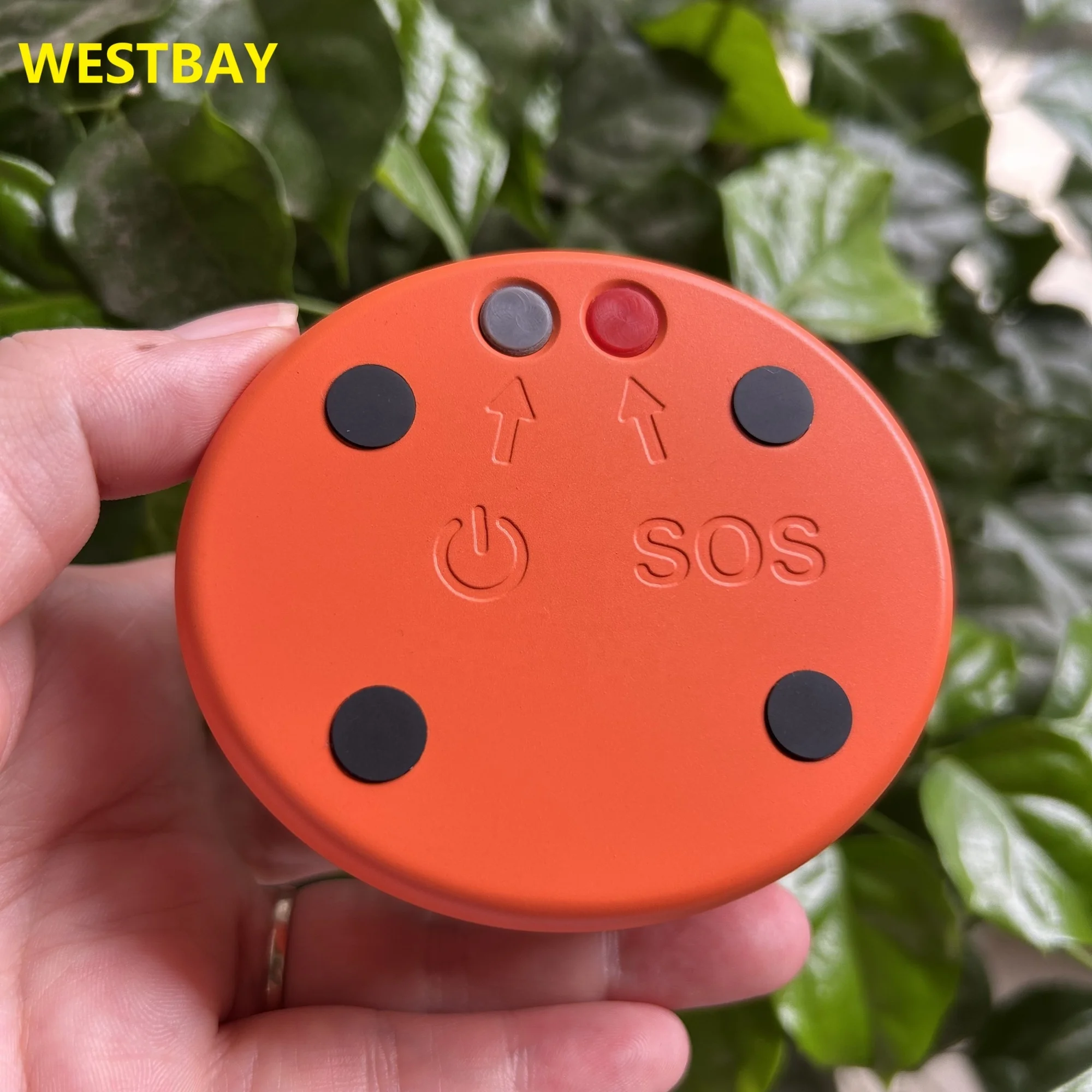 Luz De Emergencia Baliza V16 Eurolight Con Geolocalización - Homologada ...