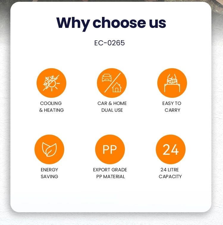 Portable Cooler Box Refrigerator Dc 12v Auto Car Mini Fridge Freezer 25 ...