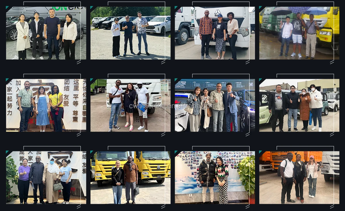 Foton Diesel 4x4 4x2 Pickup Truck - Luxury & Versatility