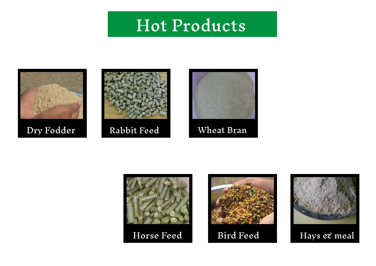 Camel Breeder Feed high-Protein Animal Feed Environmentally Friendly ...