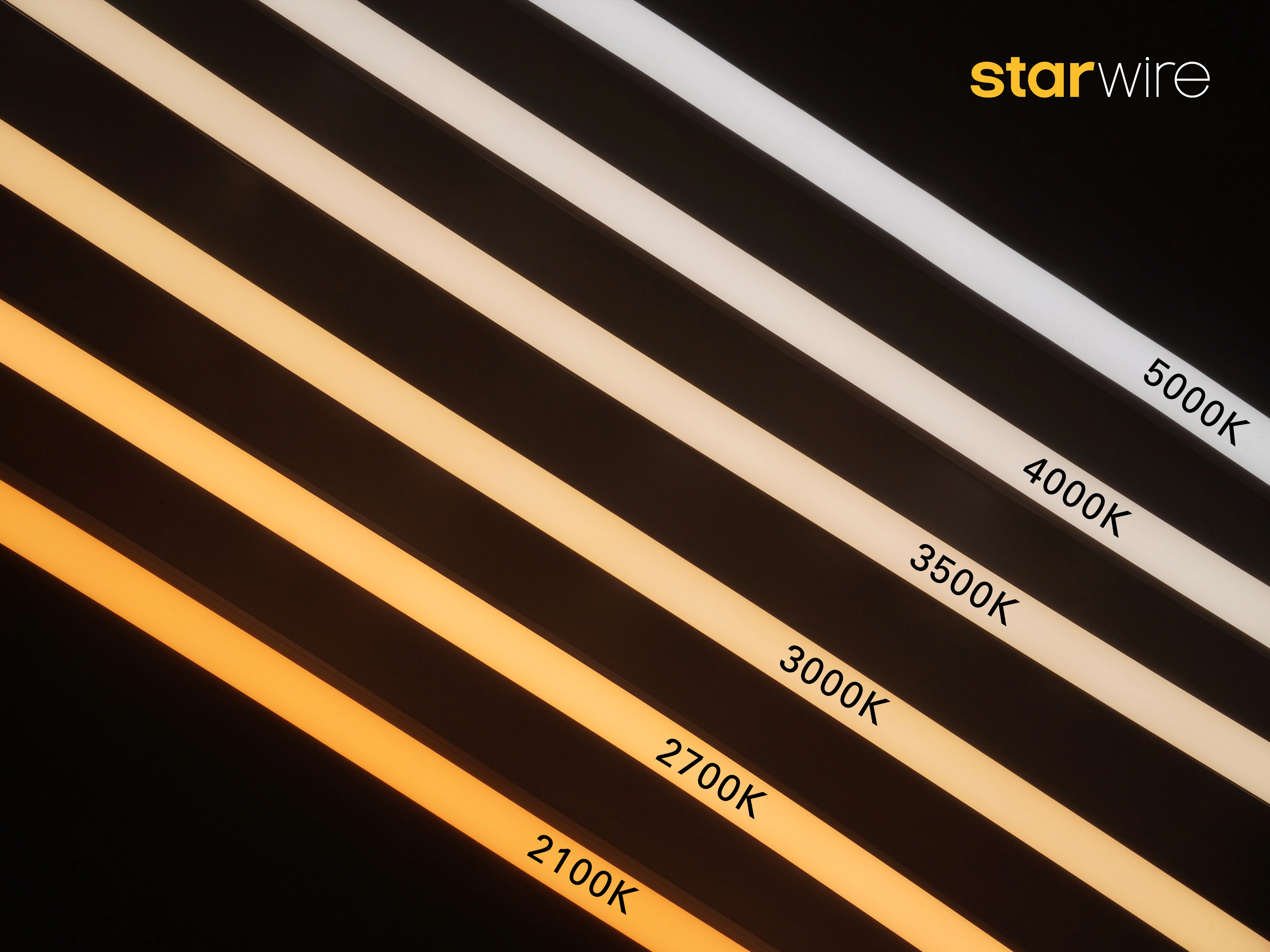 Customized Decoration Neon Light 24v Ip67 Waterproof 1616 Cct Led Neon ...