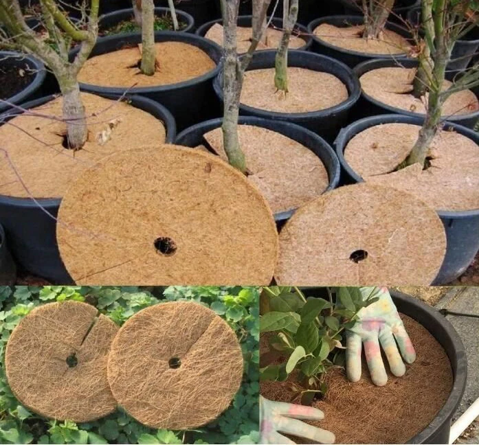 Eco-friendly Coconut Mulch Mats - Durable Tree Protectors