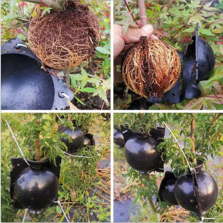 Reusable Black Round Plant Air Propagation Transplant Rooting Ball ...