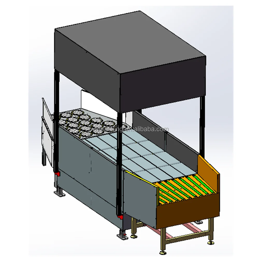 Vision-based Parcel Singulator/singulation And Sorting Equipment For ...