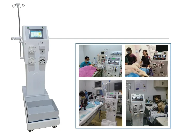 Cheap Animal Hemodialysis Machine - Portable & Easy to Use