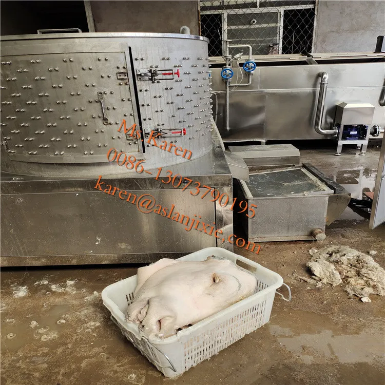 Cow Head Hair Cleaning Machine - Electric Dehairer for Cattle and ...