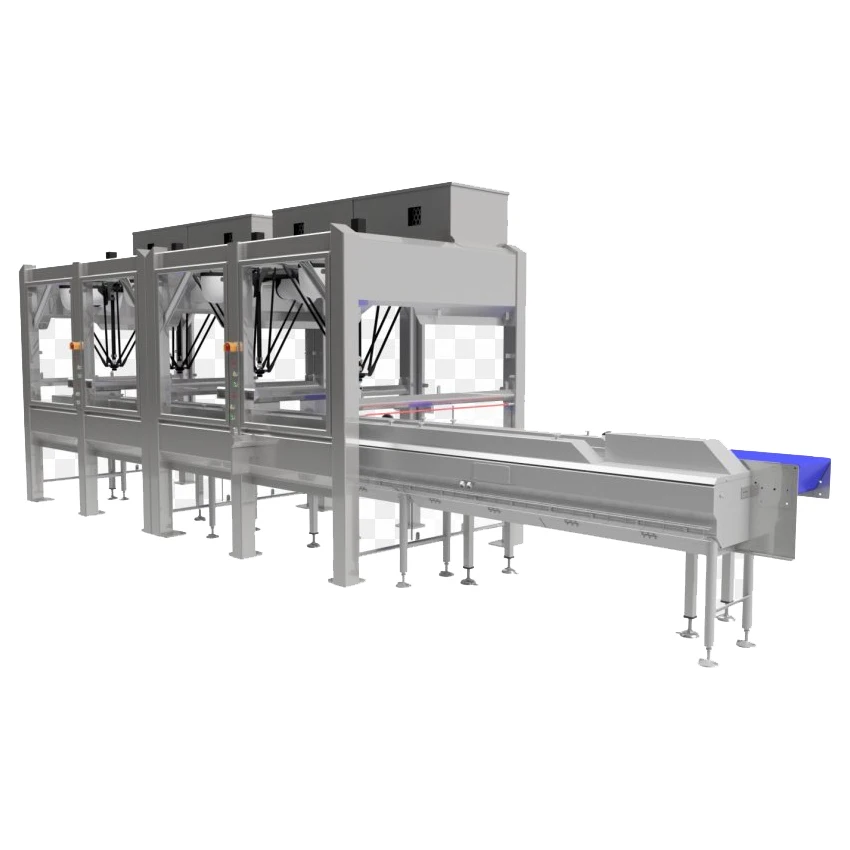 2 Axis Delta Robot - Efficient Case Packer for Medical & Food