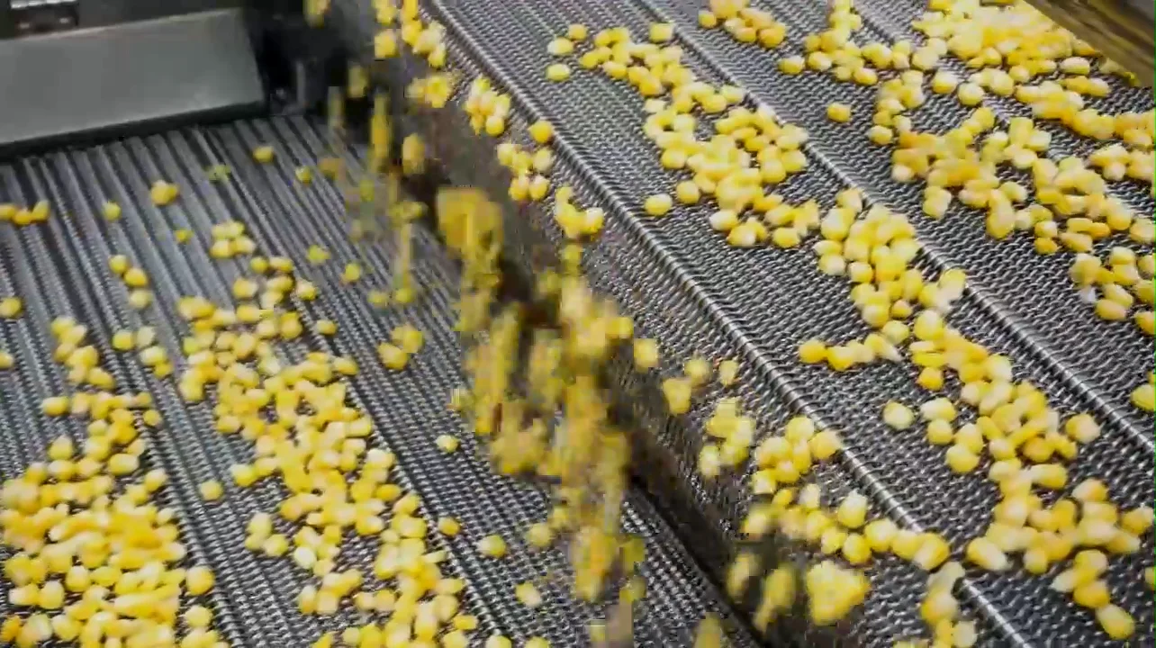 Fresh Corn Threshing,Cleaning,Blanching And Air Drying Production Line ...