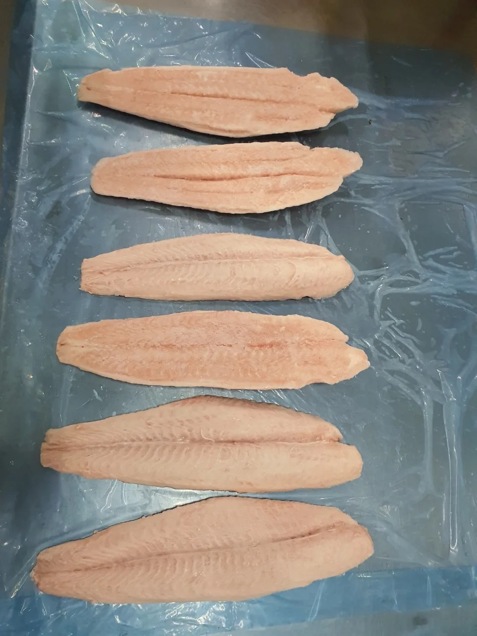 Frozen Pangasius Fillet In Fish Basa High Quality Vietnam - Buy Basa ...